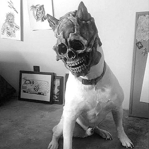 Masked Meat Man – Lurking Class